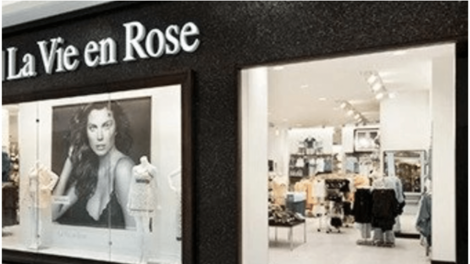 Targeted Sales Leads - Retail & Restaurant Leads | Chain Store Guide